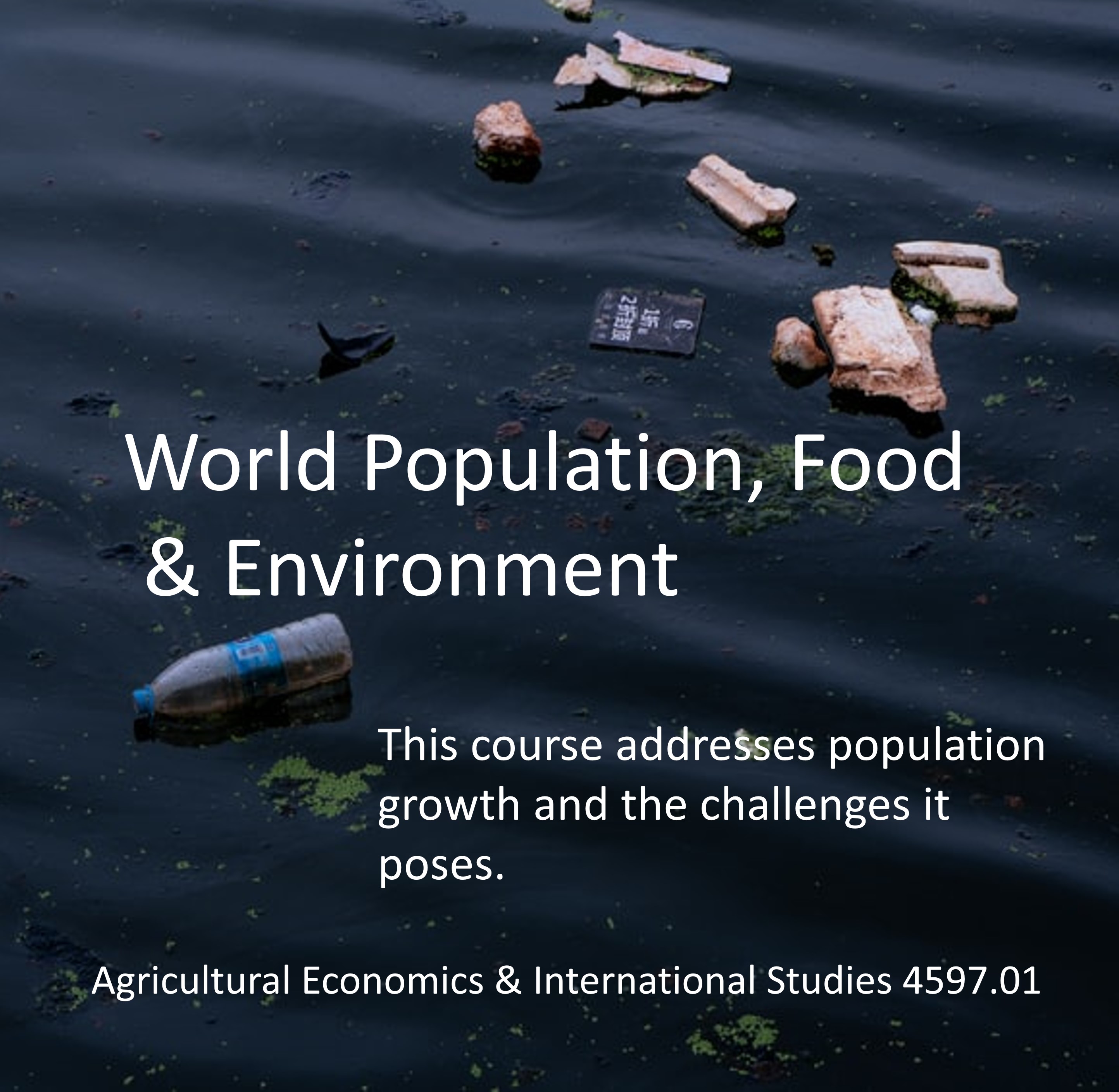 World Population, Food & Environment | International Studies