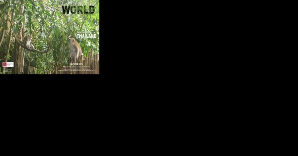 Small World Magazine - Autumn 2013 | International Studies